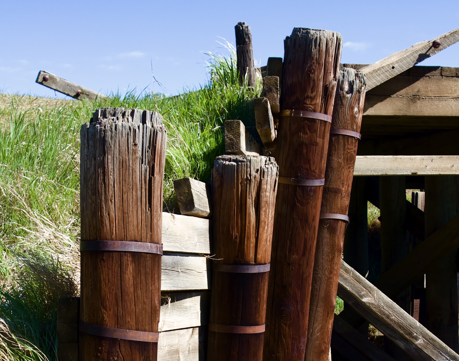 Lance Cardinal Creations: 08/17/12