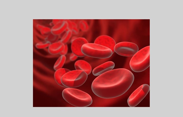 Sel Darah : Pengertian, Fungsi, Pembentukan, Jenis | Markas Belajar