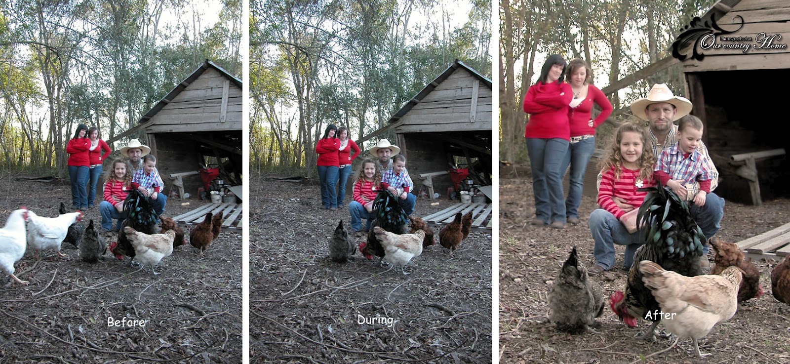 Photography by Our Country Home: Photoshopping Chickens