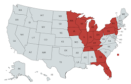 Such Larks, Pip!: Pip in BirdWatching Magazine!!