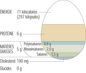 L’œuf est-il un aliment . . . exceptionnel . . . ou faut-il . . . le ...