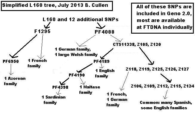 I-P37.2 haplogroup research: (from July 2013) L160 Tree with Geno 2.0 ...