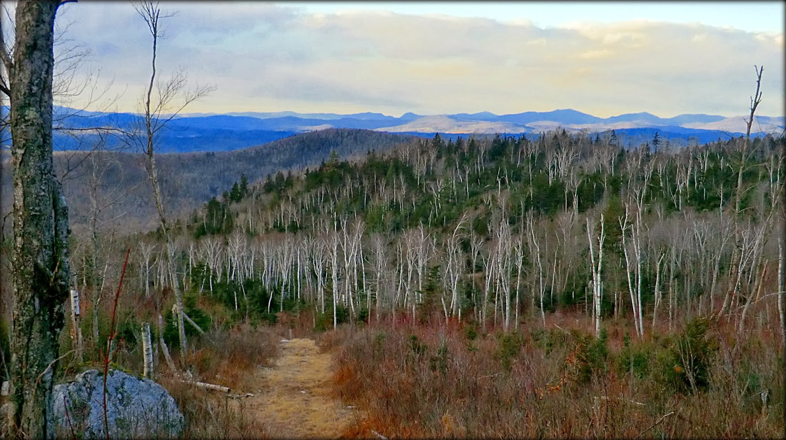 1HappyHiker: Poking Around the Cooley-Jericho Community Forest (Easton, NH)