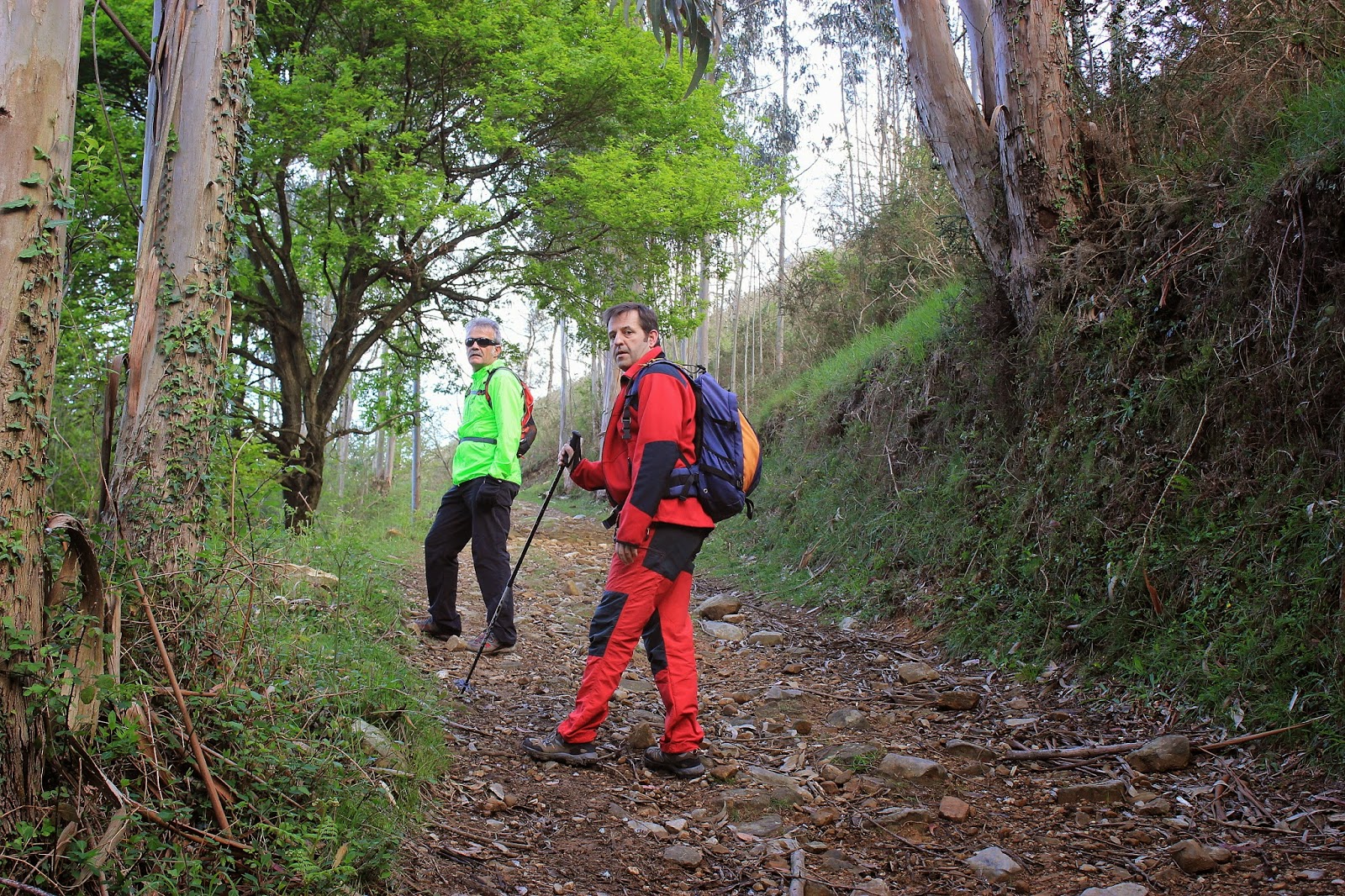 Senderos, montañas y otros entornos: Monte Ibio desde Herrera de Ibio