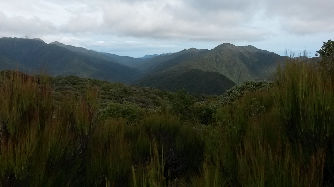 Biking and tramping trip blogs: Island Ridge