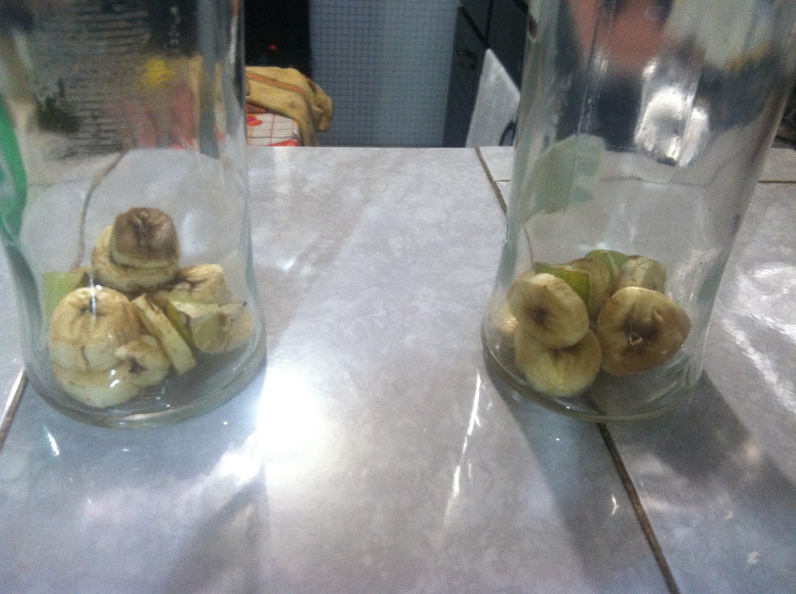 Experimento de Redi: La generación espontánea : 2017