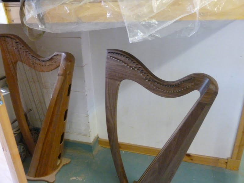 Mike's Harp Adventures: Starfish Harps