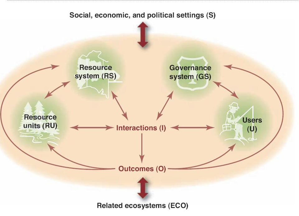 Social Systems / Loes: Polder model