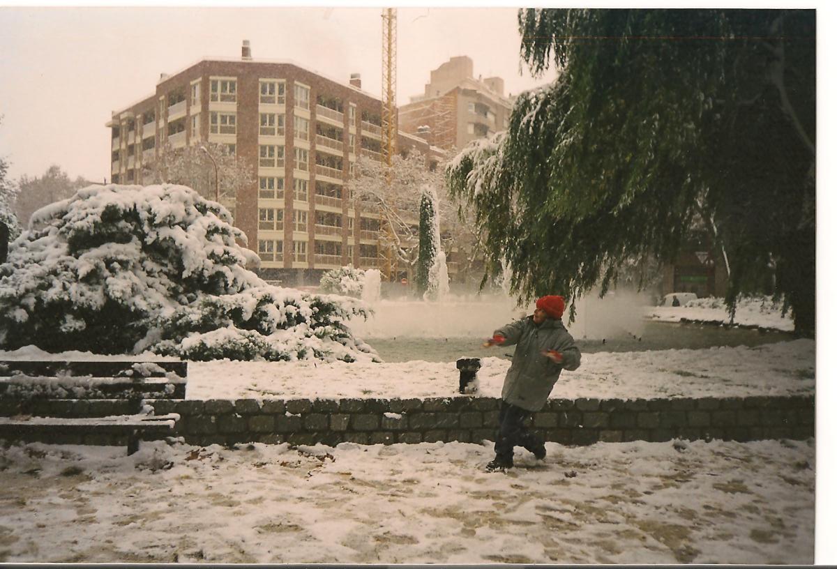 MeteoCod: 2001 la primera gran nevada del segle XXI al camp