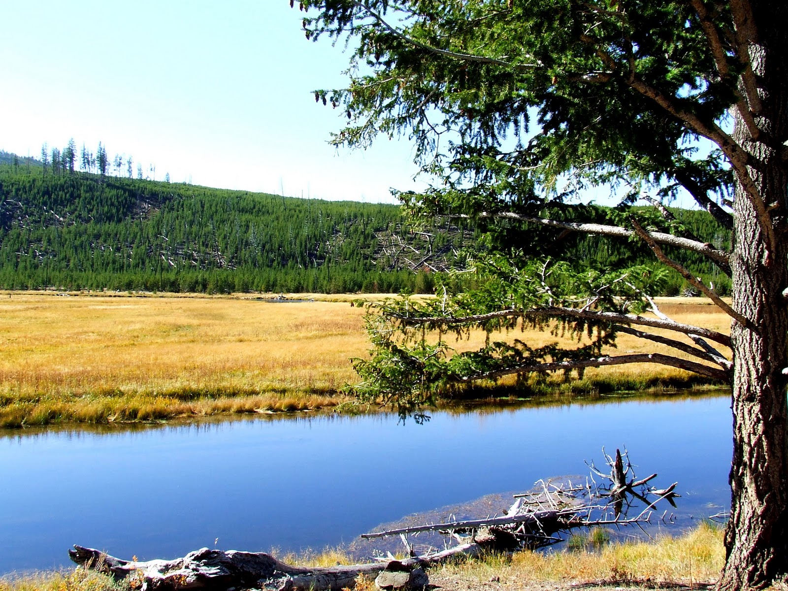 Somethin' Salvaged: Roadtrip October 2011 Part 3 Home Bound: Mount ...