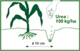 PANCA USAHA TANI dan SAPTA USAHA TANI