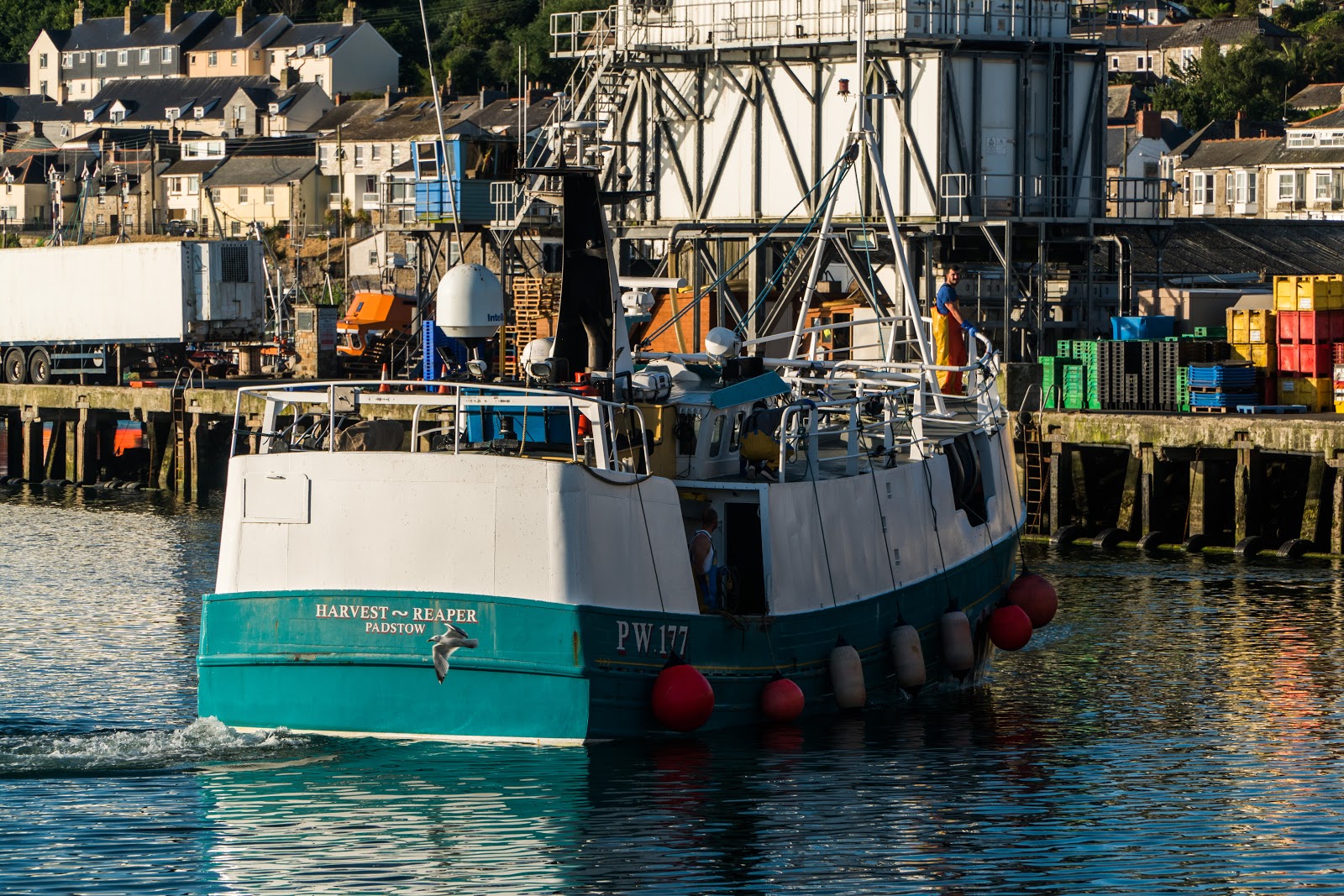 Through the Gaps! - Newlyn Fishing News: Mid-week fish market in Newlyn ...