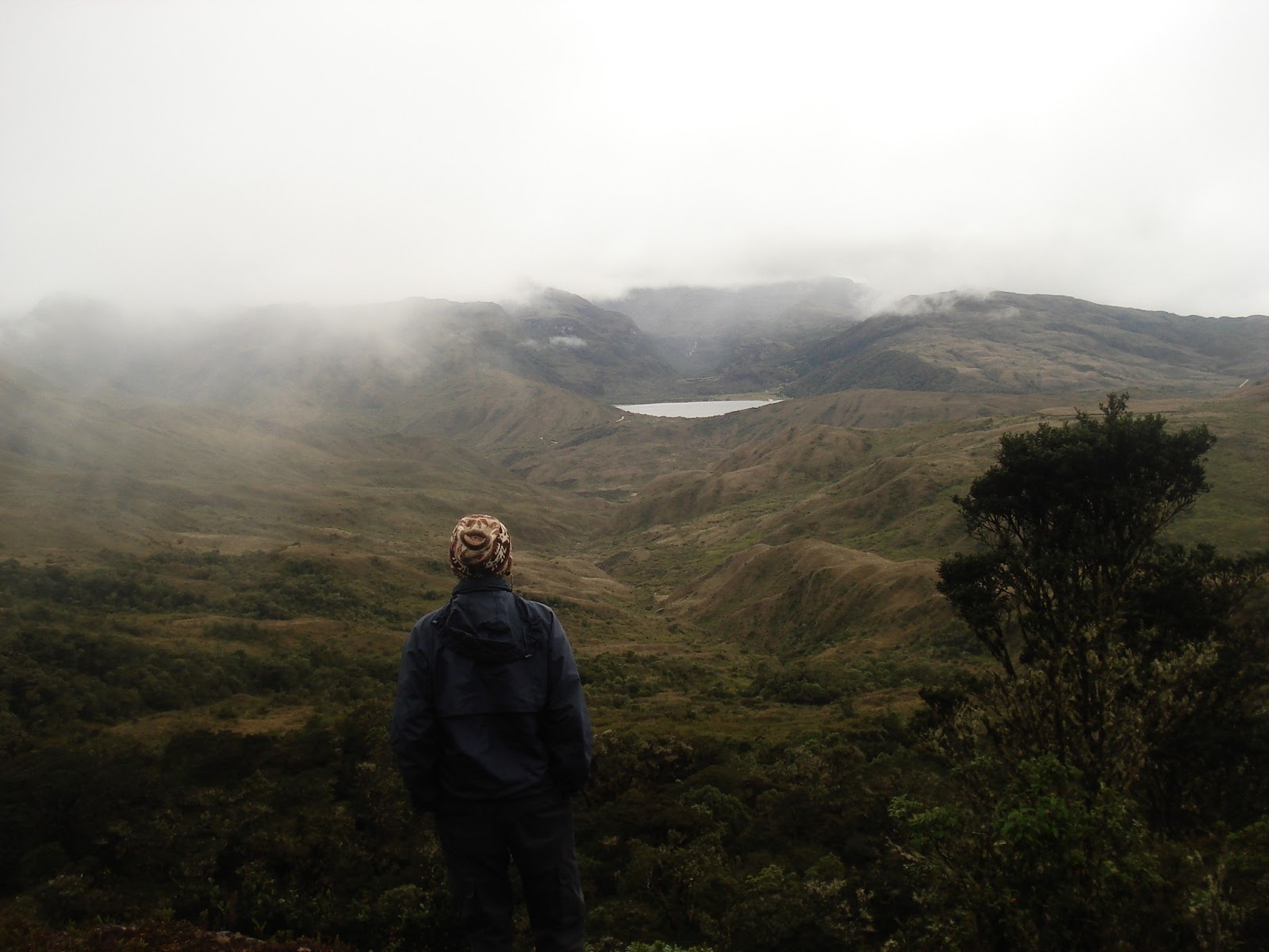 Colombia: Biodiversa por naturaleza
