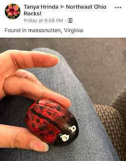 Northeast Ohio Rocks!: Northeast Ohio Rocks! in all 50 States..Cuatro!