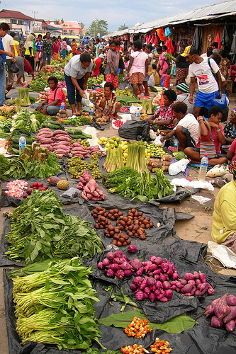 HOTEL Timika Indah: Mimika, Geografis dan Penduduk