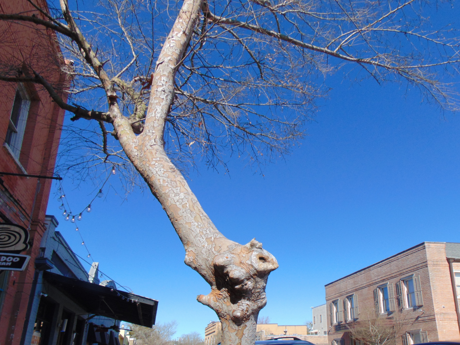 Covington Downtown: Photos from a Downtown Walk-Around