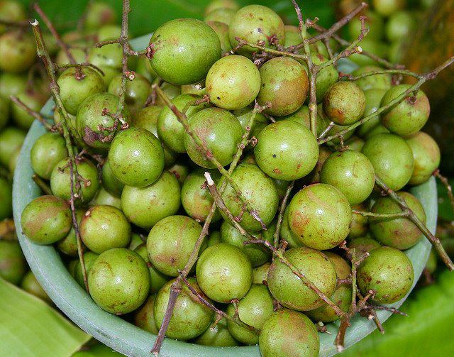 Onda Catracha: Frutas Tropicales De Honduras