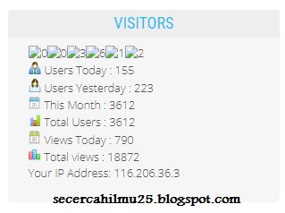 Rekomendasi Widget Untuk Visitor Counter dan Traffic Statistik di ...