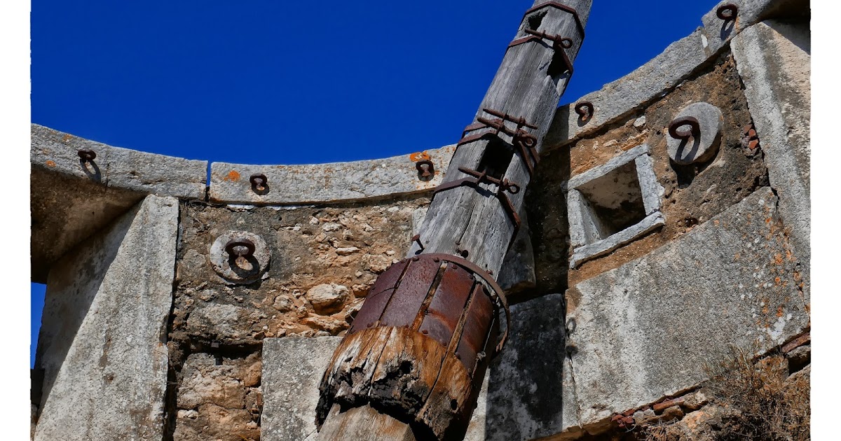 A picture a day: Vane