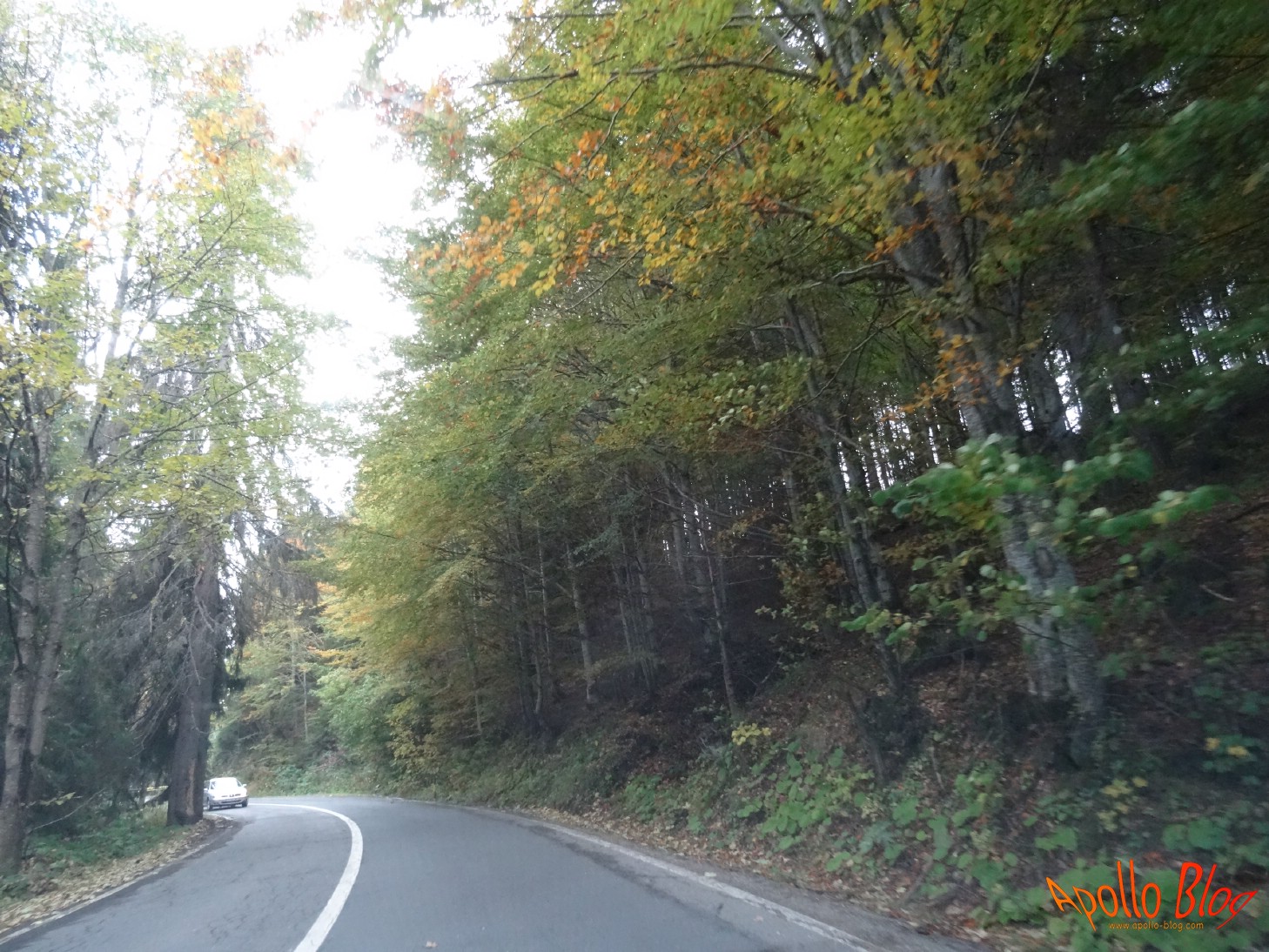 Apollo Blog: Toamna @ Pasul Bucin