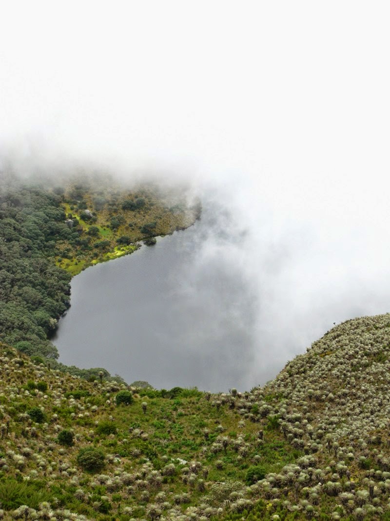 El Angel Ecological Reserve | Ecuador