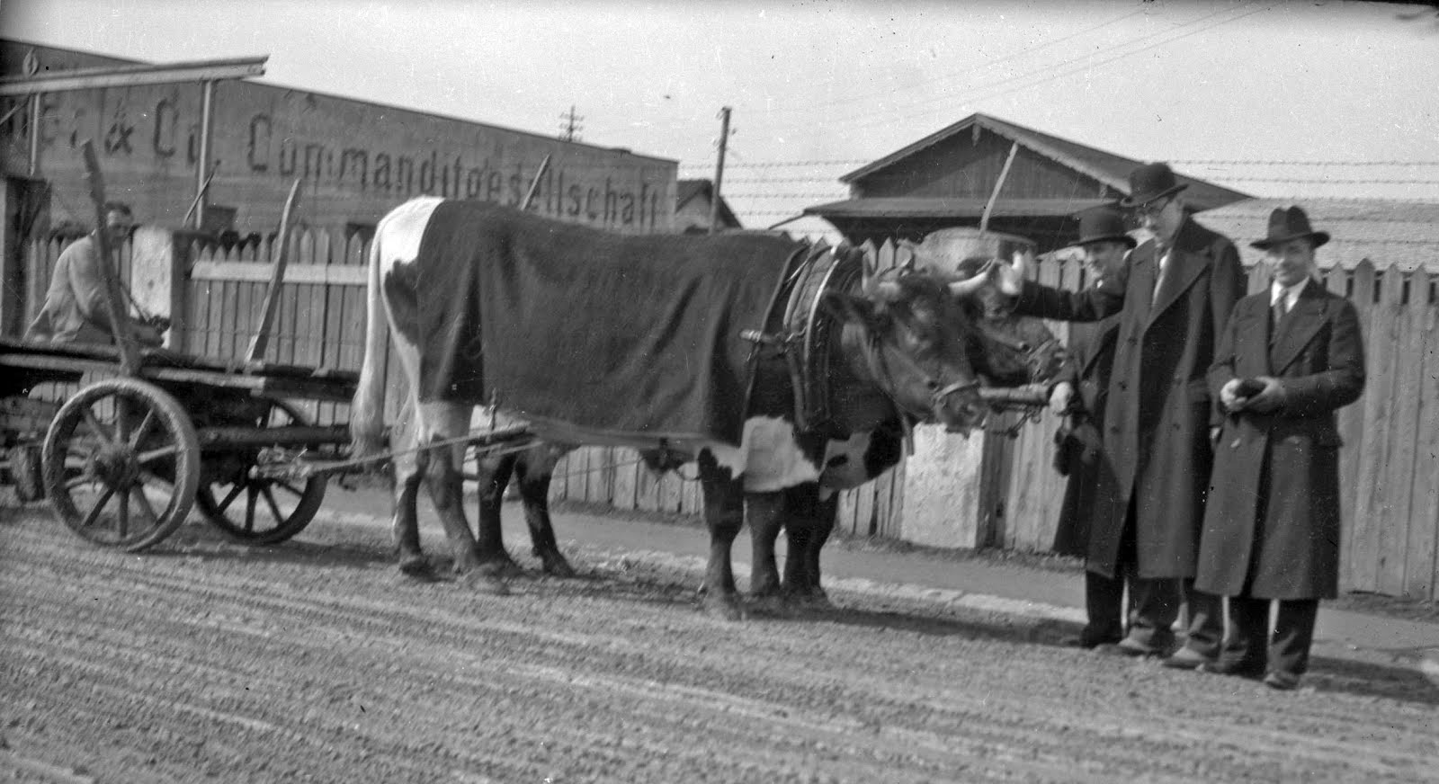 Hasler History: Art Hasler Family Photo Bio
