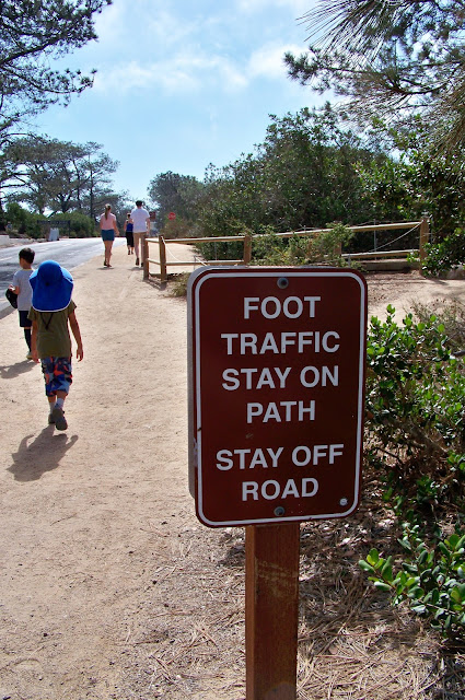 Picturing English: "Stay On Path and Stay Off Road"