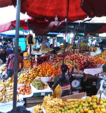 The Lima Peru LDS Temple Mission: The "Real' Peru and Extracto de Rana
