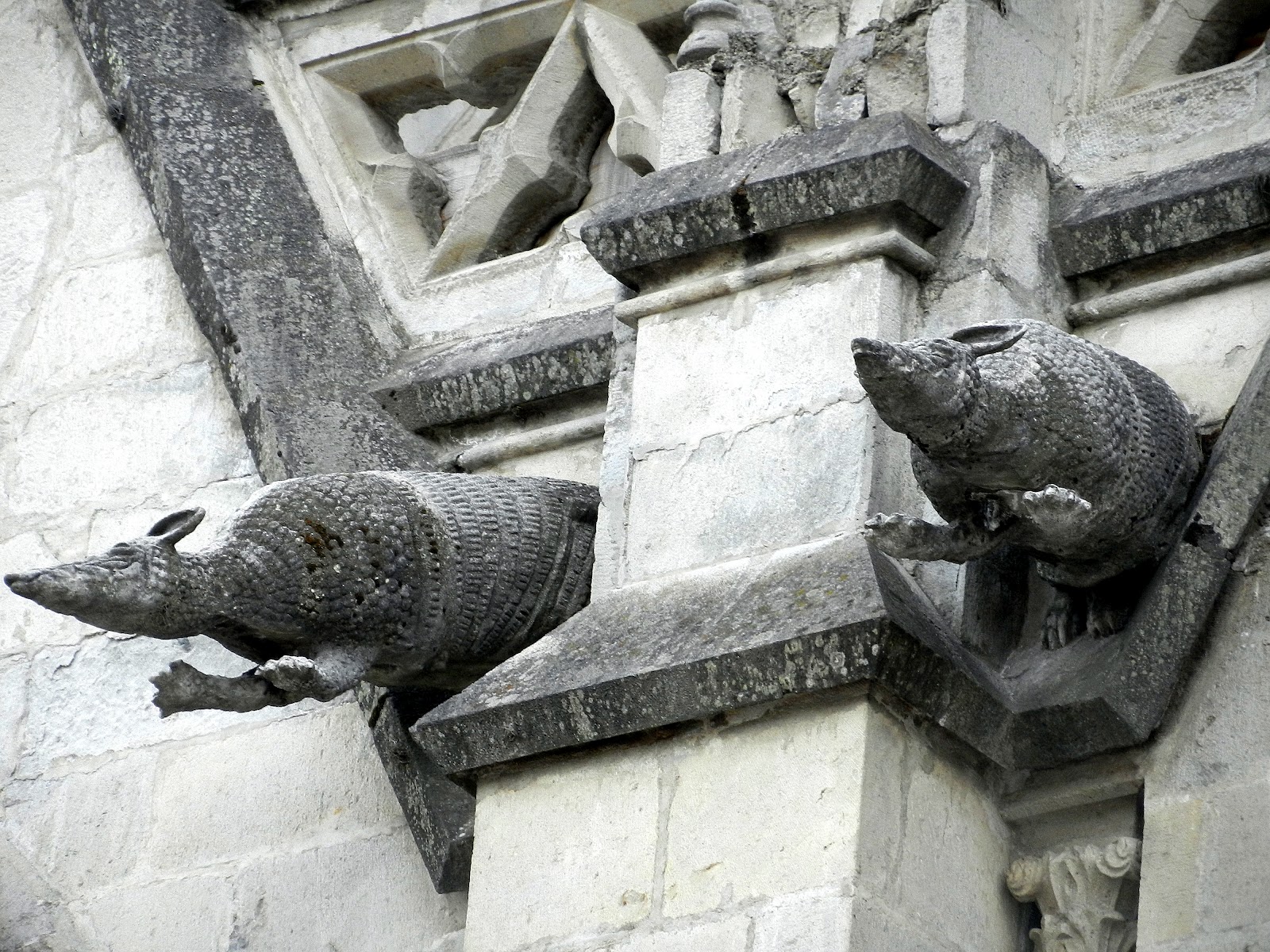 John & Fayne in New Zealand: Part II: Las Islas Encantata- The ...