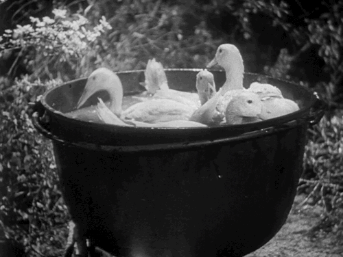 Trophy Unlocked: Stubs – Duck Soup (1933)