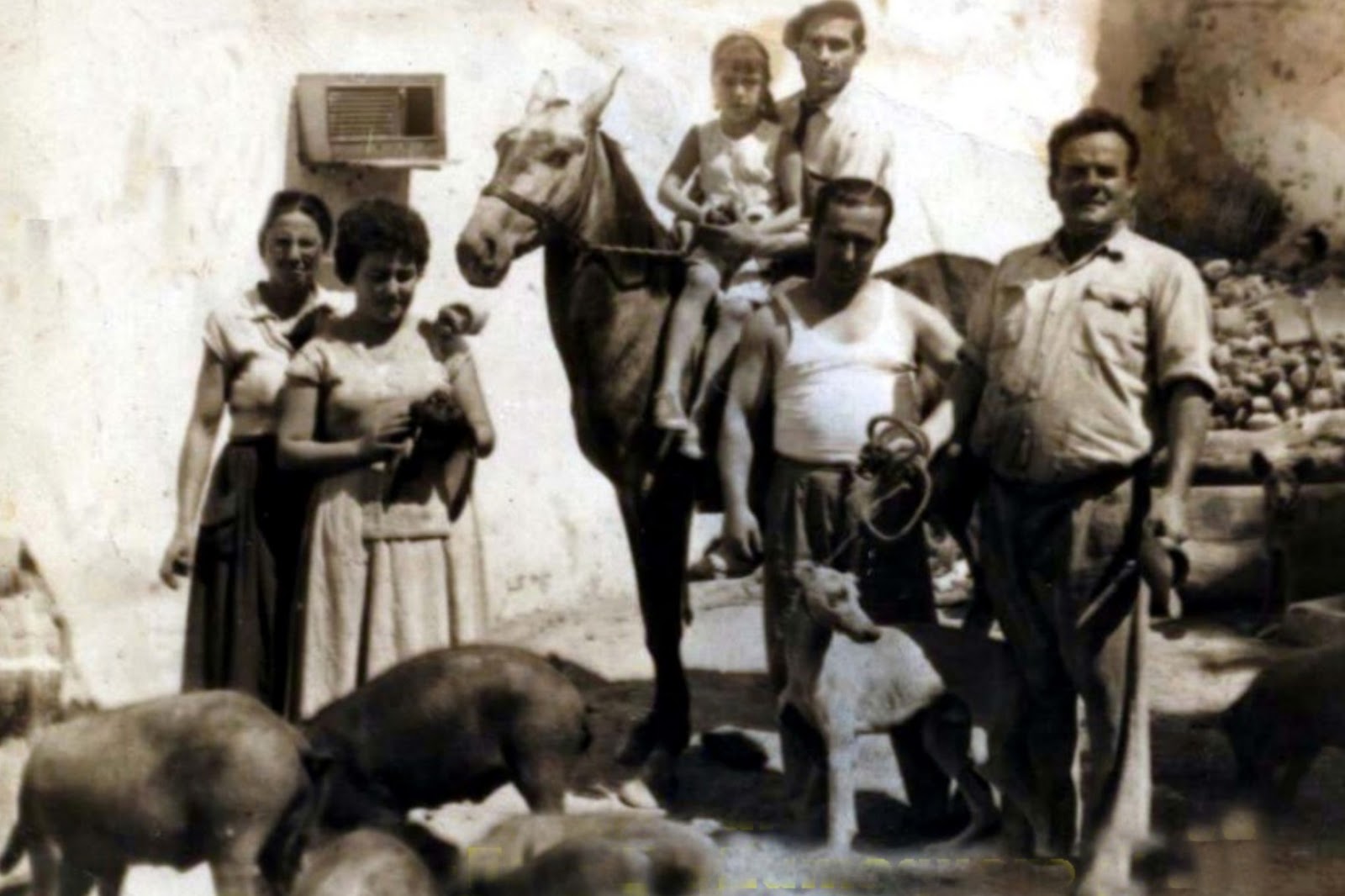 Las matanzas. Las tareas previas. 2 - El blog de salus