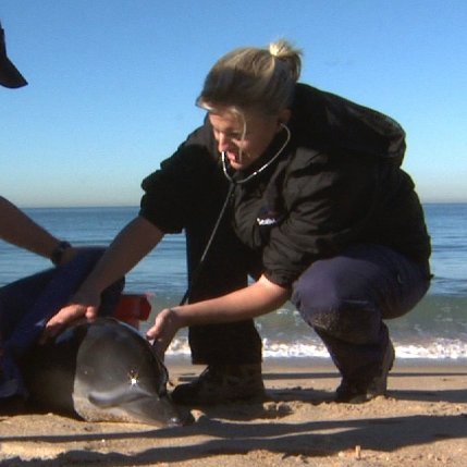 Kavi Dolasia – Marin Science Seminar