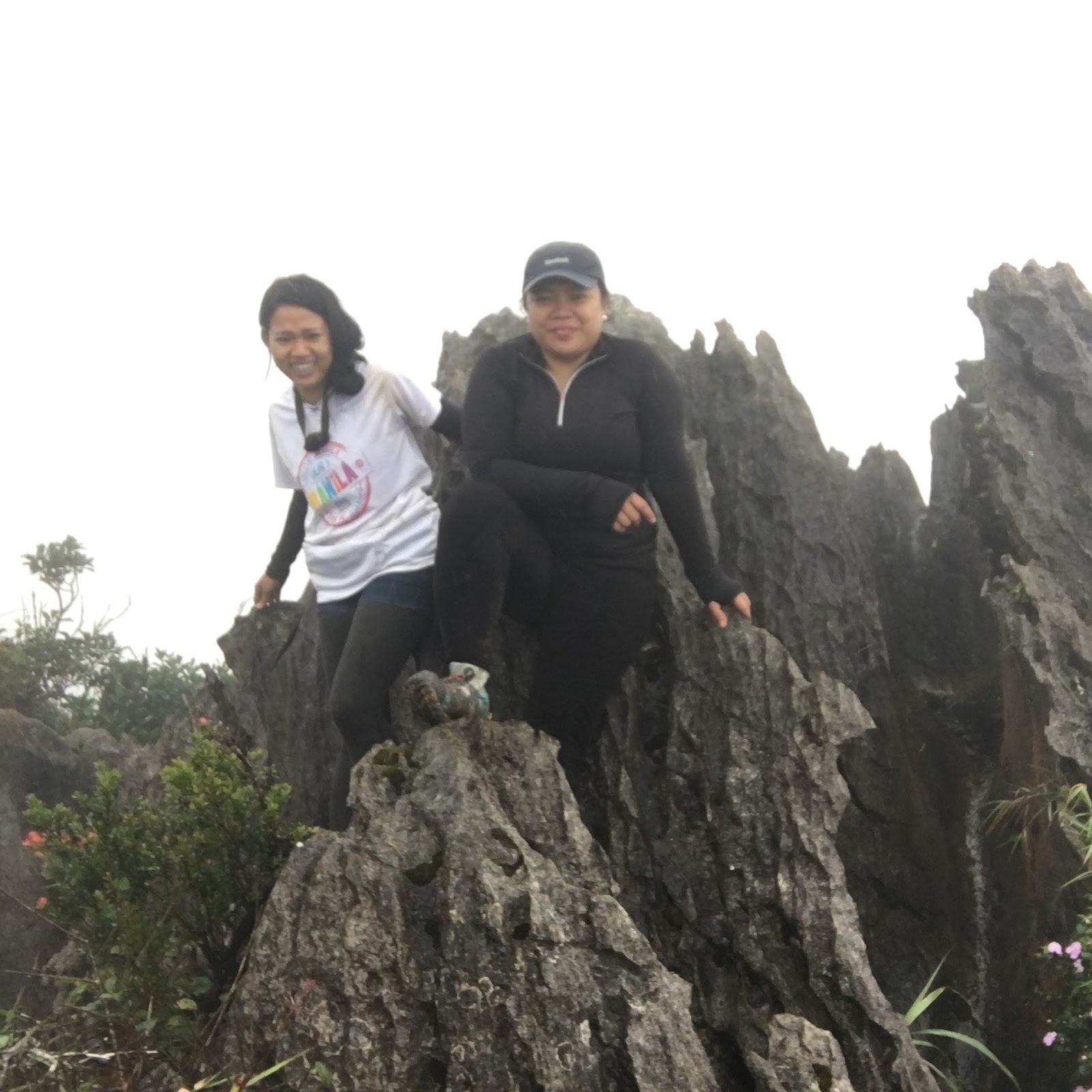 An Unforgettable Day Hike: Mt Irid, Rizal's Highest Mountain - From The ...