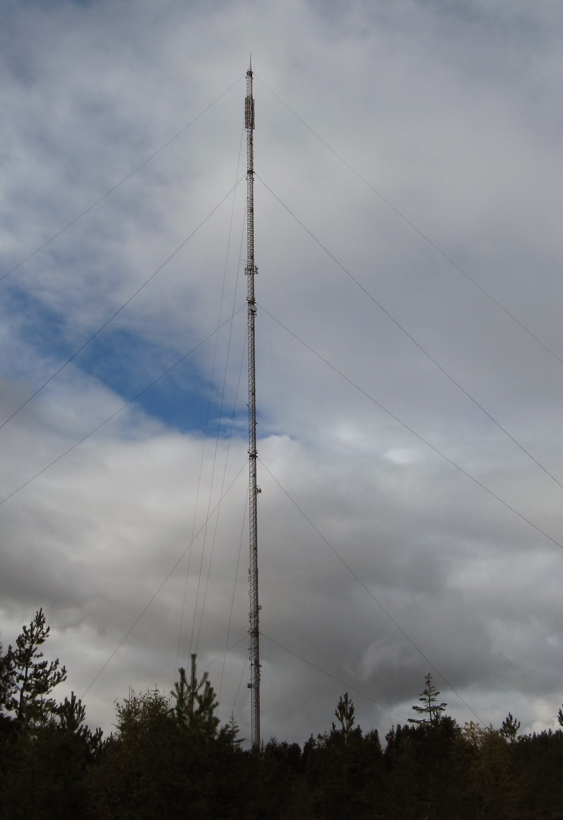 Neil's Hillwalking Exploits: Deep in the forest.....Mount Eagle