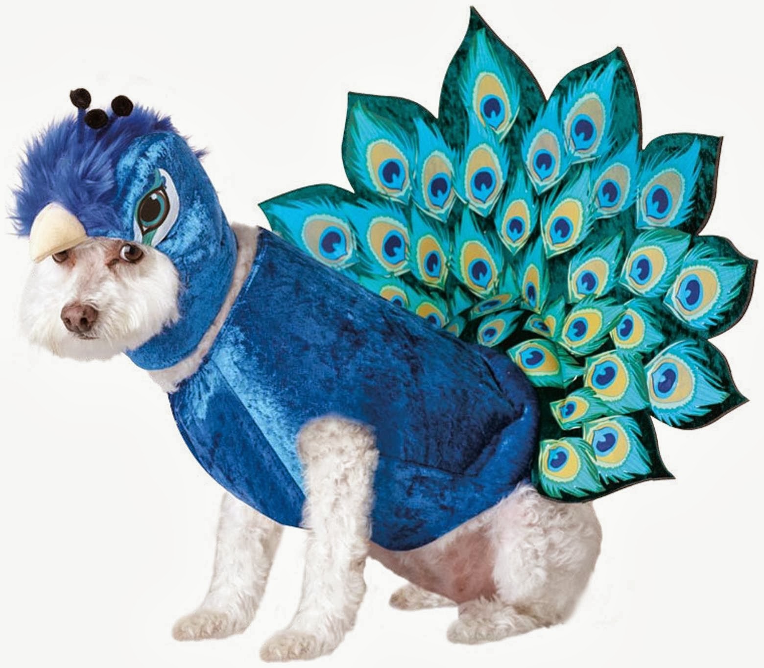 Best Halloween Costume Deals: Halloween Pet Costumes