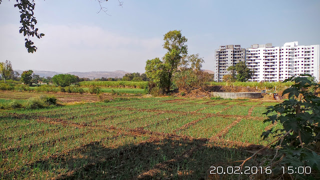 Ravi Karandeekar's Pune Real Estate Market News Blog: There is ...