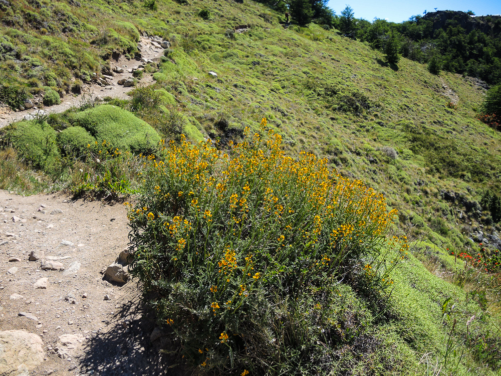 Through The Looking Glass