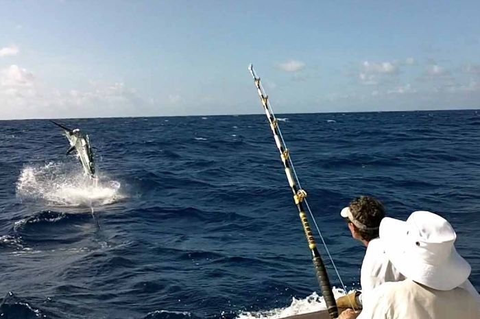 Tips Cara Memancing Ikan Yang Efektif - KITA MANCING YUK