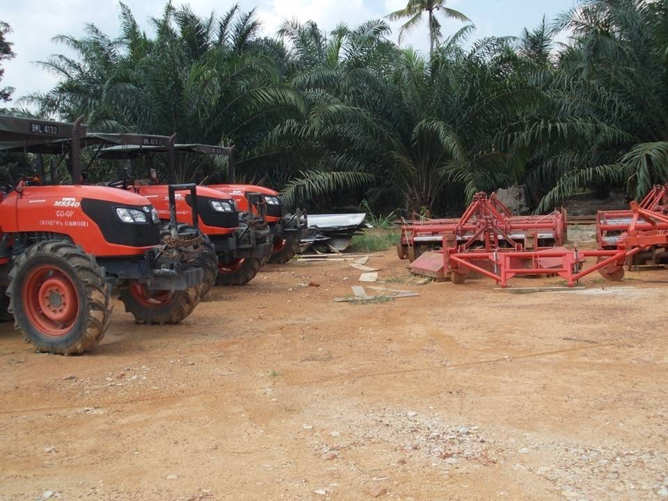 KAMPUNG SAWAH RING: KOBERA