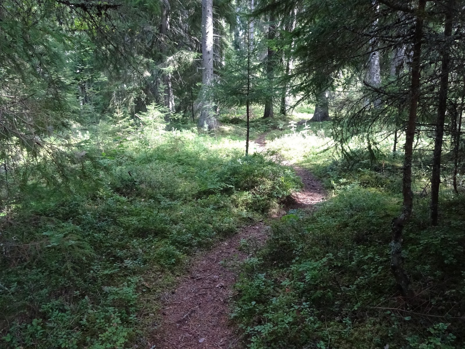 Ingas tankställe: augusti 2015