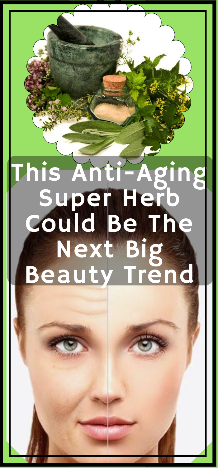 Natural Healthy Solutions: This Anti-Aging Super Herb Could Be The Next ...