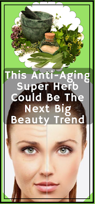 Natural Healthy Solutions: This Anti-Aging Super Herb Could Be The Next ...