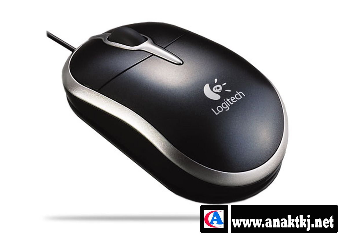 Macam-Macam Hardware (Perangkat Keras) Komputer Beserta Fungsinya ...