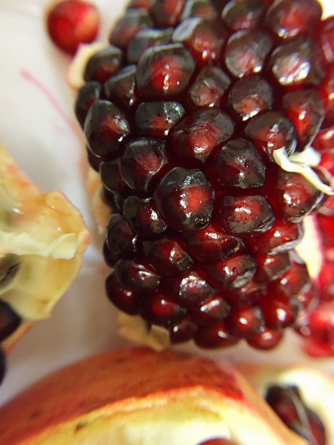 livergarden: pupki - zalupki