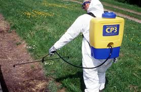 Seed to Feed Me: WEEDING