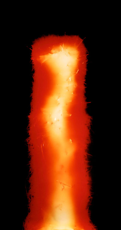 ArtHive: Danny Treacy - Photographer