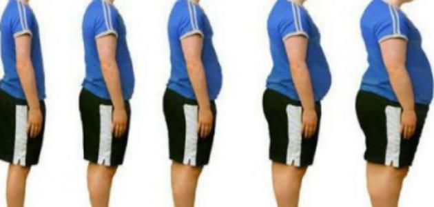 How to become fat - Body Building