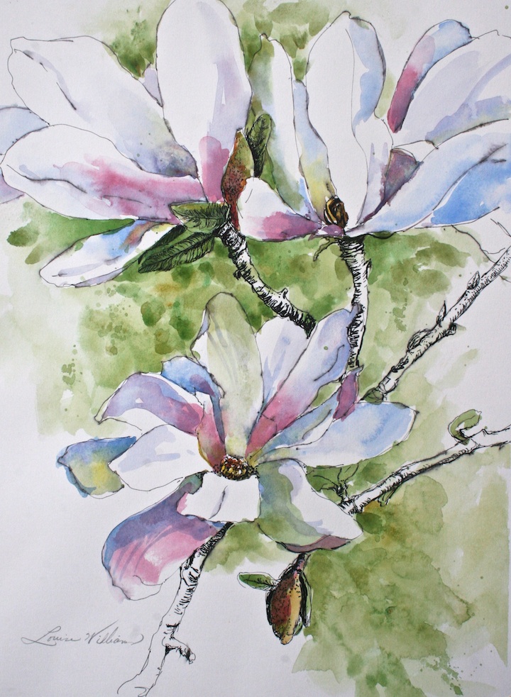 L. Williams Studio: Ink and wash magnolias
