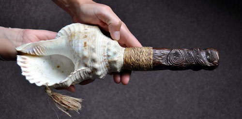 Interesting Signs: The Maori