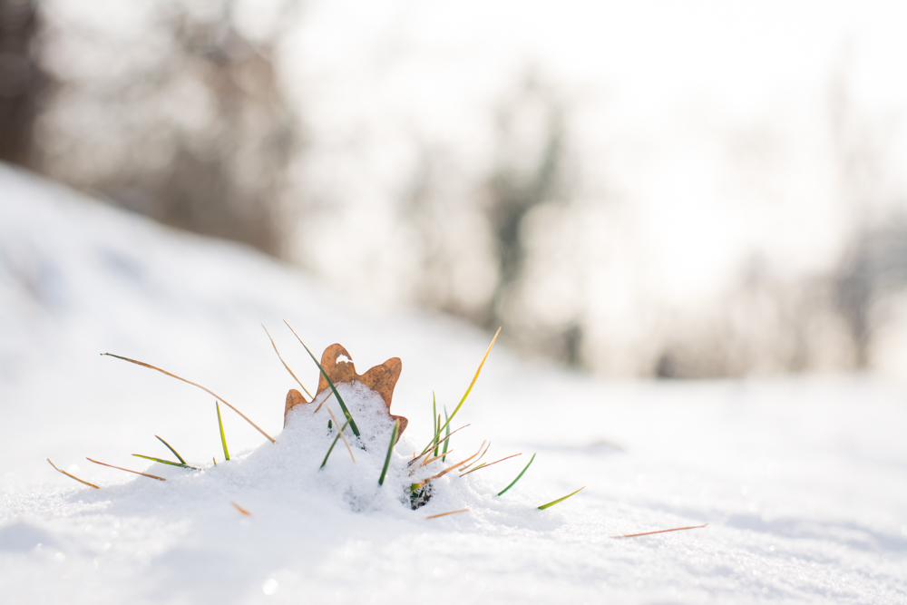 C'est reparti !: Douce neige d'automne